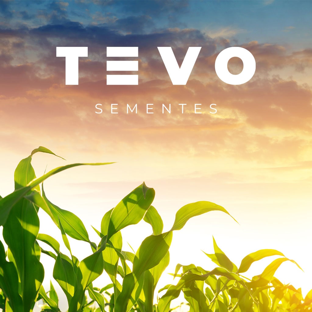 TEVO - Uma marca LongPing